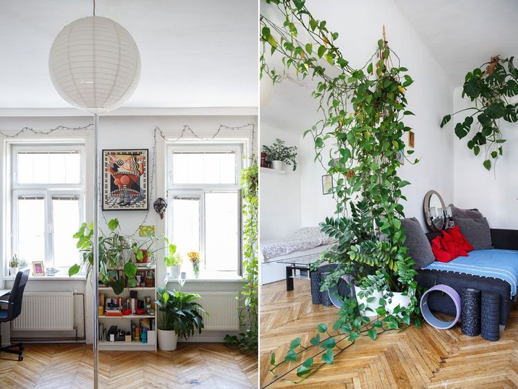 Tänzer Luca Bonamore: "Es würde mich verrückt machen, keinen Spiegel zu ...