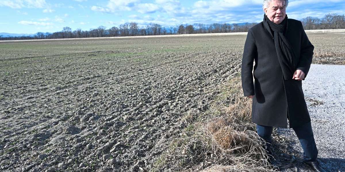 Apfelbäume von Hand bestäuben? - Hans Rauscher - derStandard.at › Diskurs