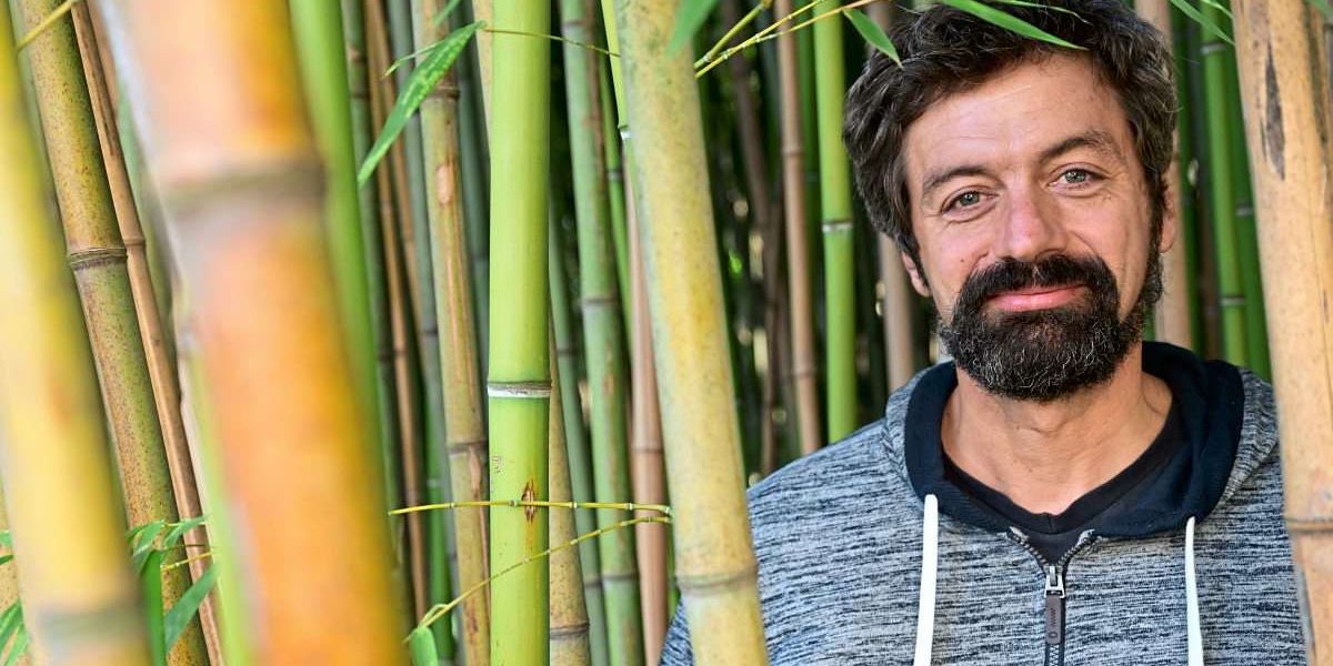 Biodiversitätsforscher Essl: "Die Politik hat versagt" - Umwelt & Klima ...