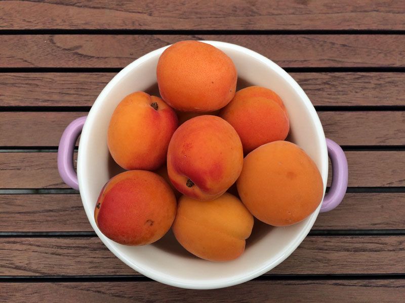 "Unsere drei Besten": Rezepte mit Marillen - Desserts & Süßspeisen ...