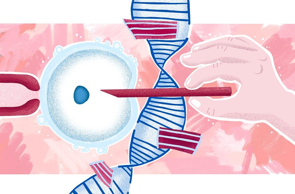 Chancen und Risiken von Gen-Manipulation beim Menschen - Forschung ...