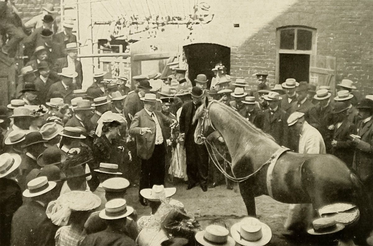 Der Kluge Hans: Das Pferd, das rechnen konnte - Tutscheks Zeitreiseblog ...