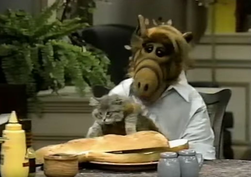 "Alf" hat wieder Katzenhunger: Warner Bros plant Reboot - Streaming ...