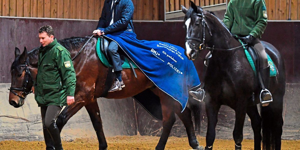 Der Welpe Heinz - Hans Rauscher - derStandard.at › Diskurs