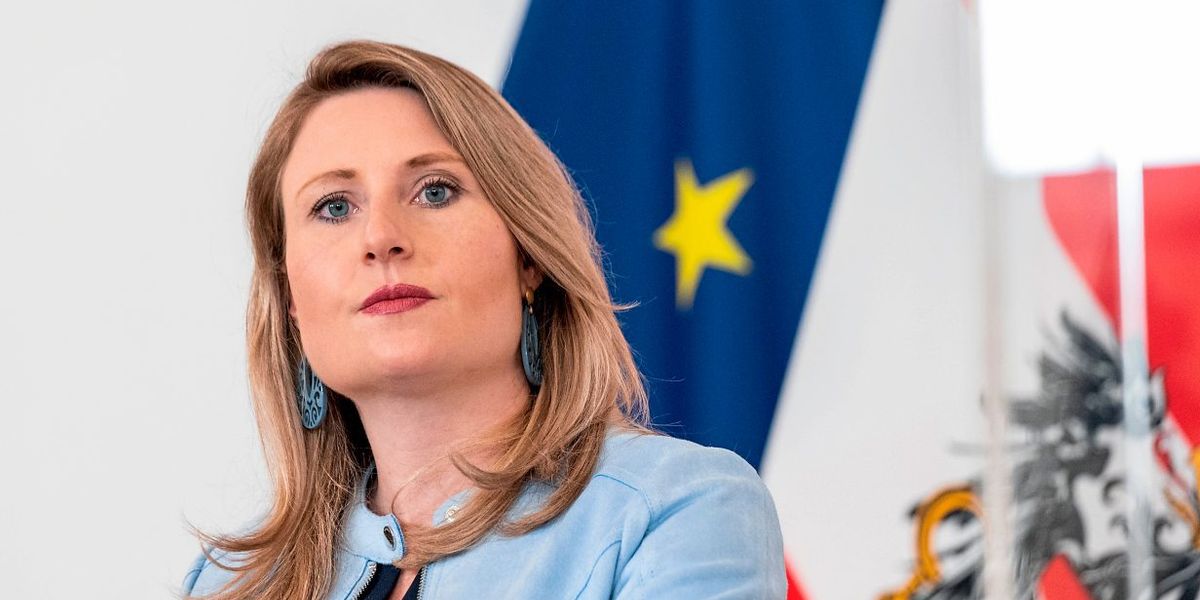 Wie viel Substanz hinter dem Plagiatsvorwurf gegen Raab steckt ...