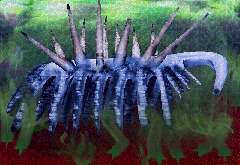 Rätsel Um Kambrischen Wurm Mit Stacheln Und Beinen Gelöst Natur