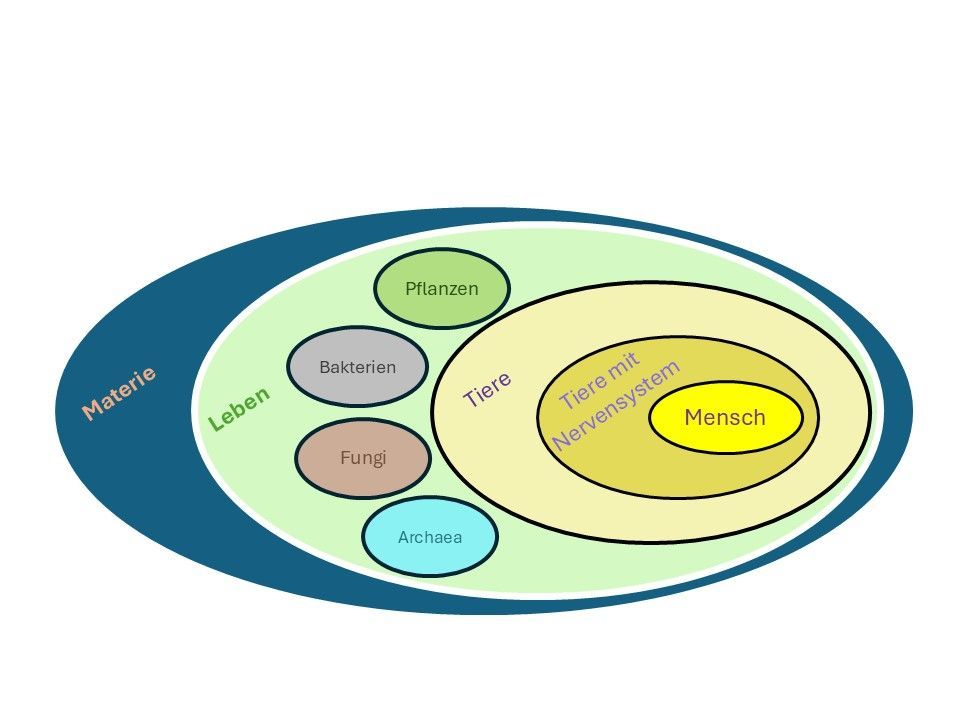 Das Rätsel des Bewusstseins - Junge-Akademie-Blog - derStandard.at ...