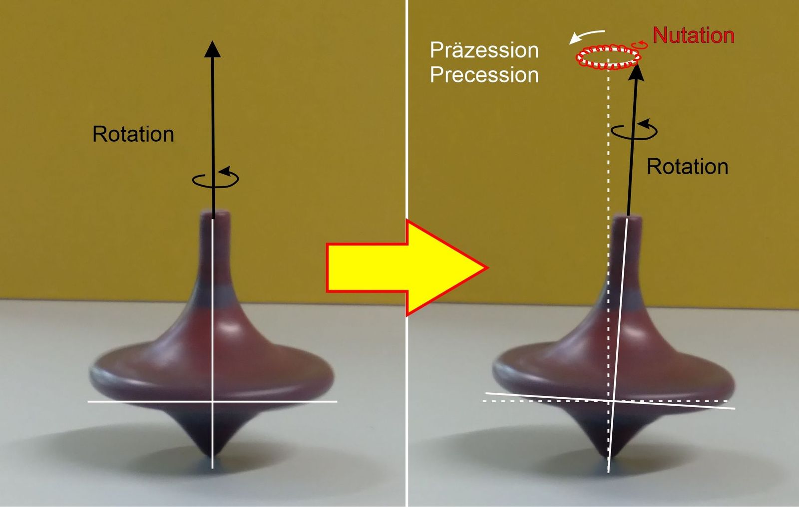 Rotating Bodies: Bowling balls, astrology and modern medicine - Blog ...