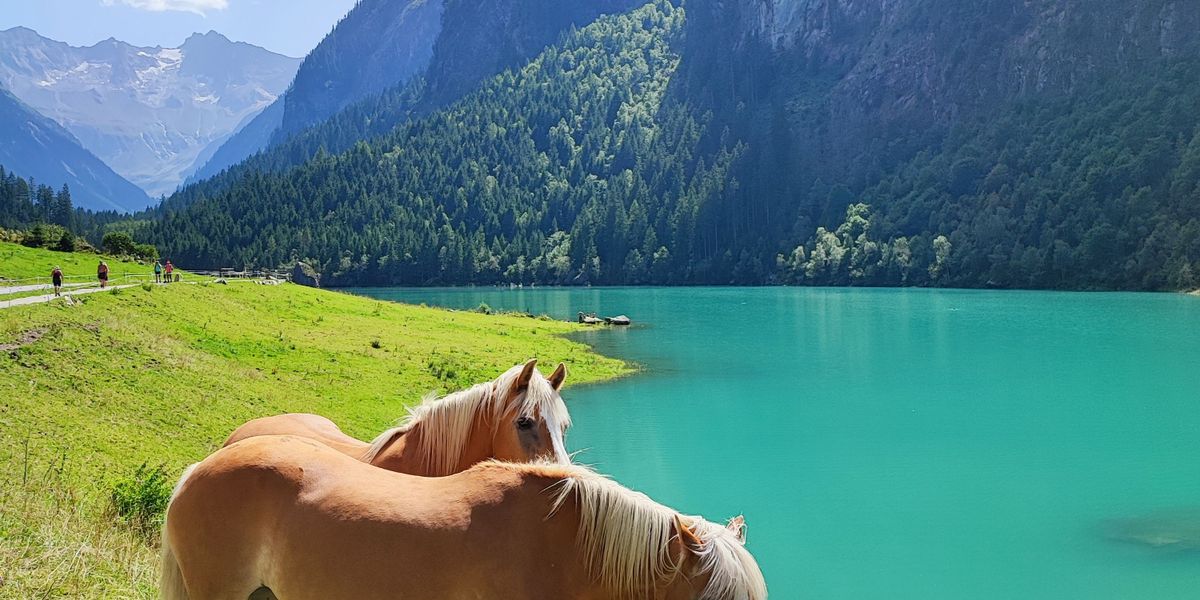 Die schönsten Urlaubsfotos unserer Userinnen und User der Woche ...