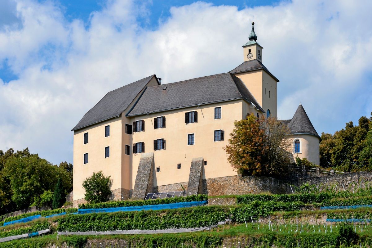 Conle-Castle: Mutmaßlicher AfD-Großspender kauft Schloss in Kärnten ...