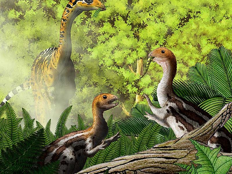 Vom bissigen Baby zum zahnlosen Erwachsenen - Paläontologie ...