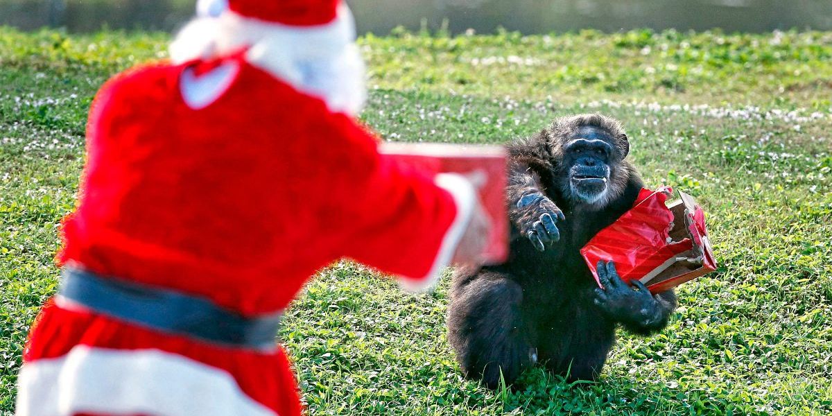 Wie Schenken glücklich macht - Mensch - derStandard.de › Wissen und ...