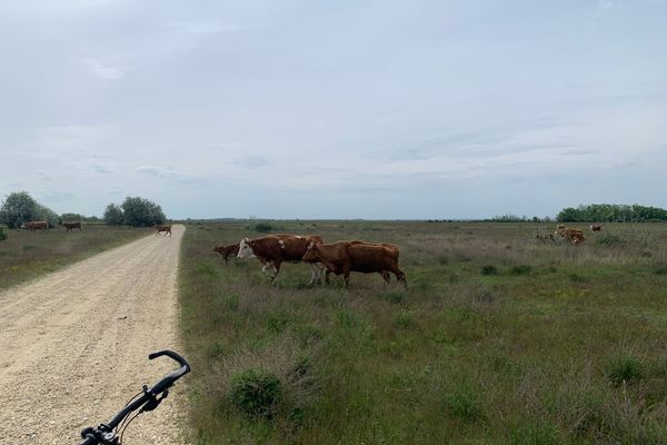 Lifestyle › Mobilität - derStandard.at