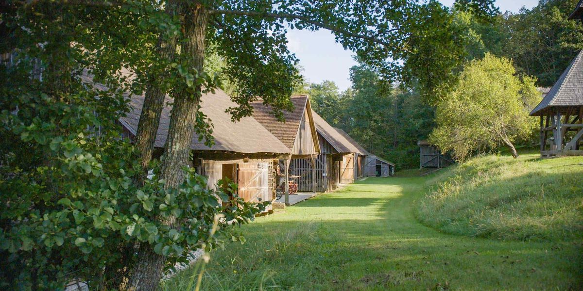 Ö1-Schwerpunkt über Spukphänomene: Rätselhafte Wilma Molnár - TV ...