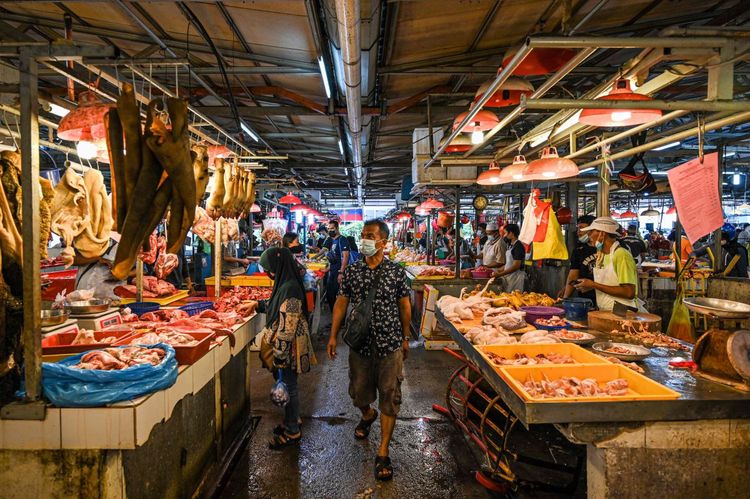 Wildtiermärkte: Zeichnet sich ein Umdenken ab? - Zukunft - derStandard ...