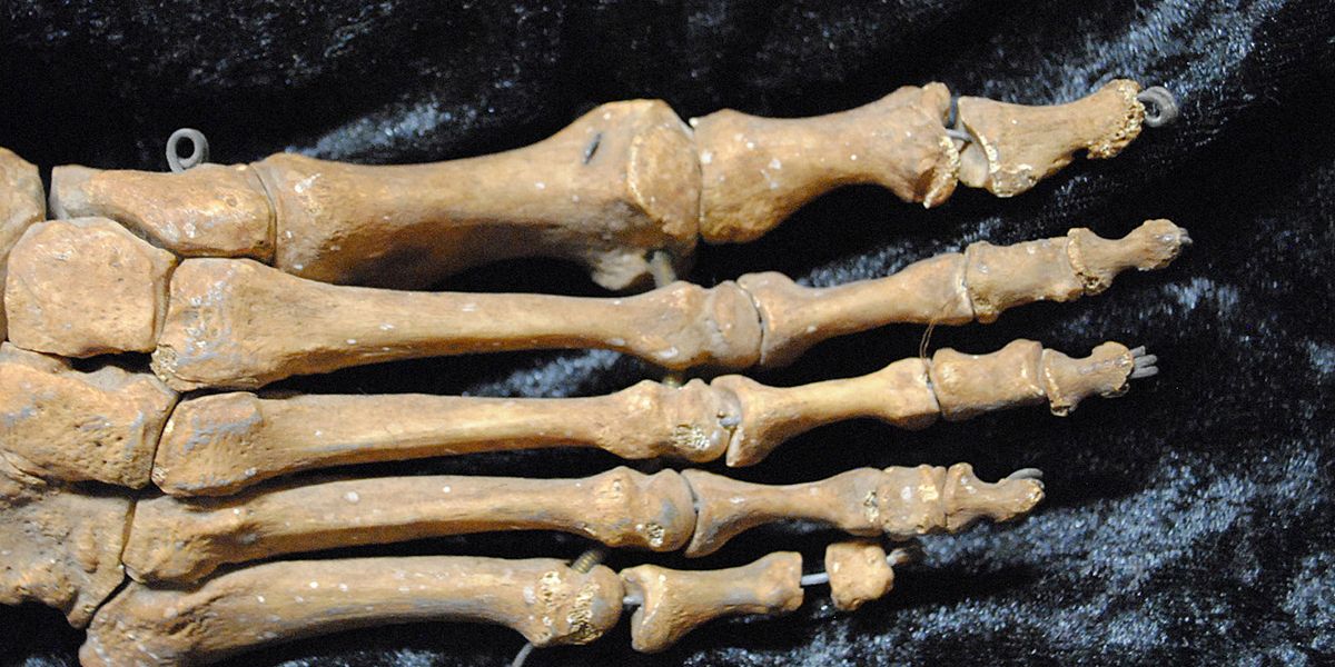 Evolution: Die große Zehe stand unter größerem Druck - Archäologie ...