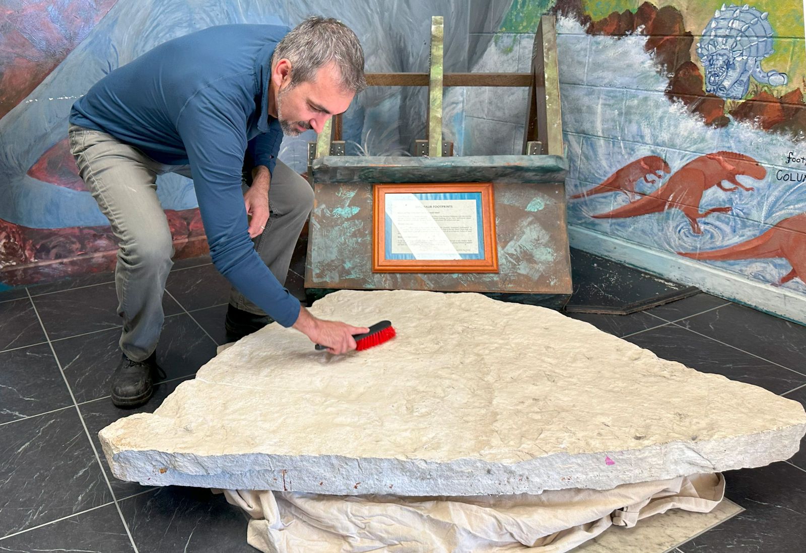 66 Dinosaurierfußabdrücke in australischer Schule entdeckt ...