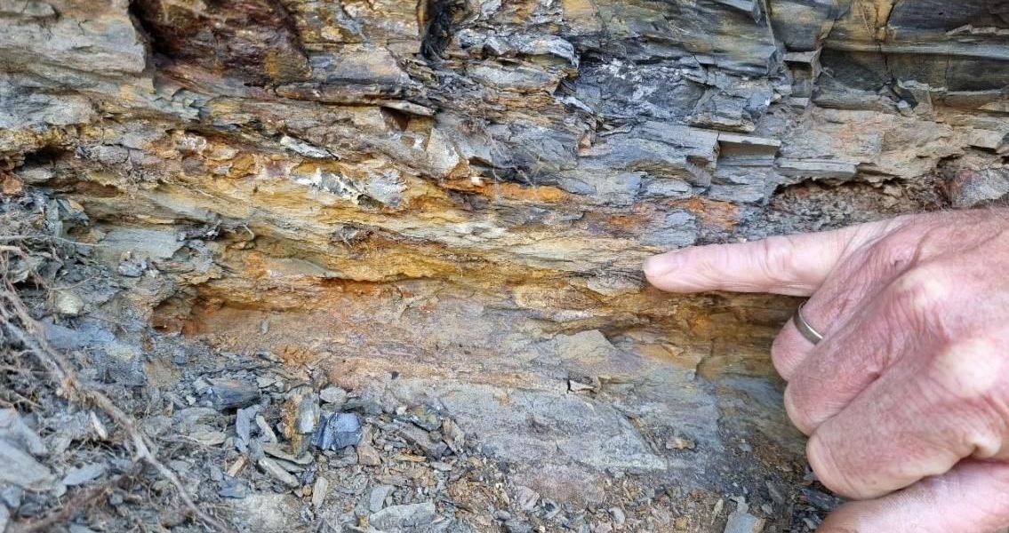Bayerische Geologen stoßen auf Spuren des ersten Massensterbens der ...