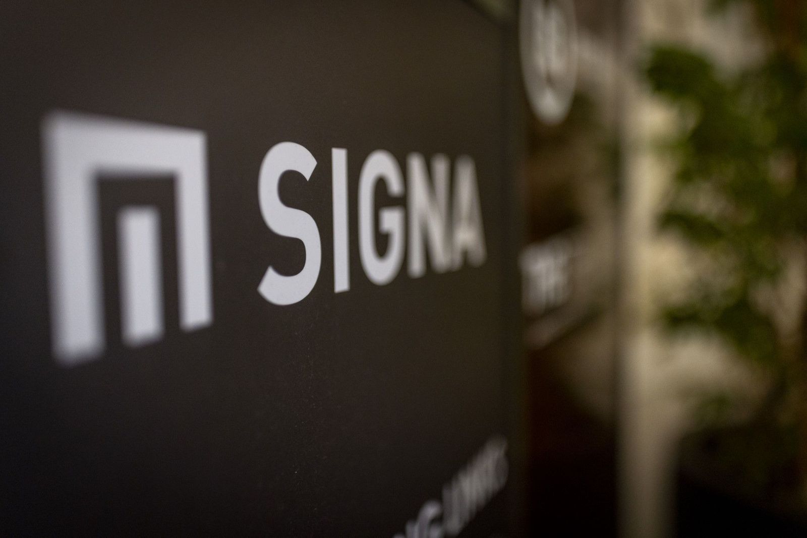 Neue Signa-Aufsichtsräte hängen Job nach fünf Tagen an den Nagel - Insolvenzen - derStandard.at ...