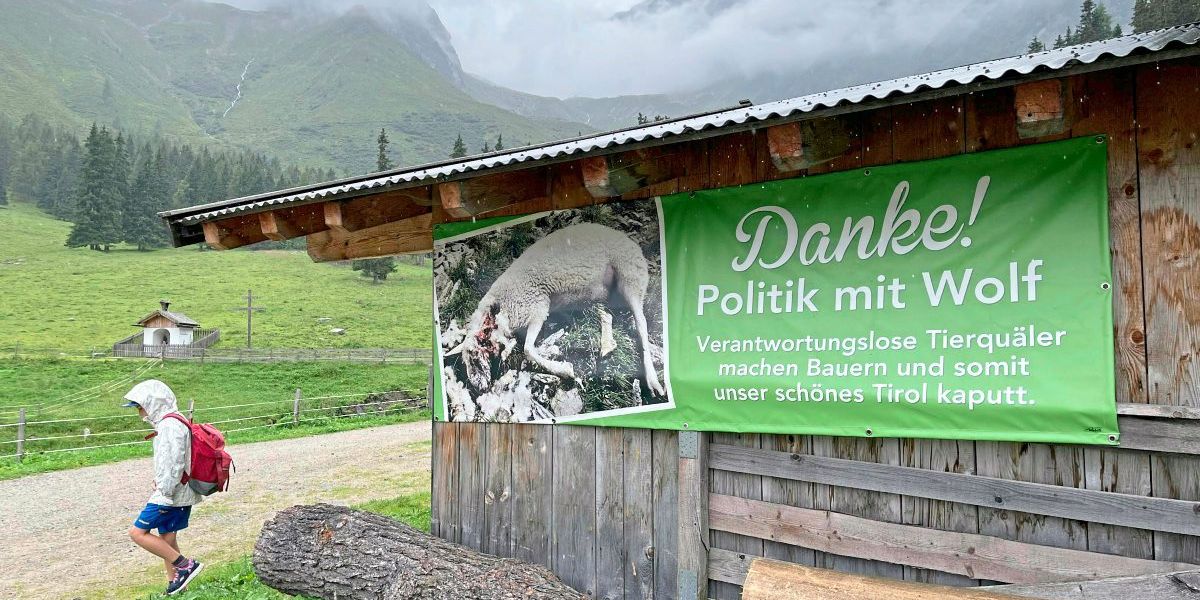 Tirol-Wahl: Noch tanzt der Wolf allein auf dem Wahlkampfparkett - Tirol ...
