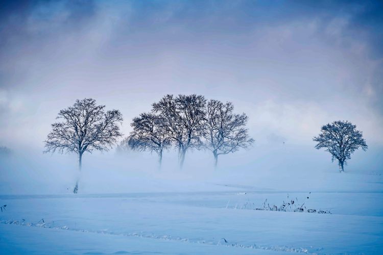Bis zu minus 24,5 Grad: Tirol bleibt Österreichs Kältepol - Panorama ...