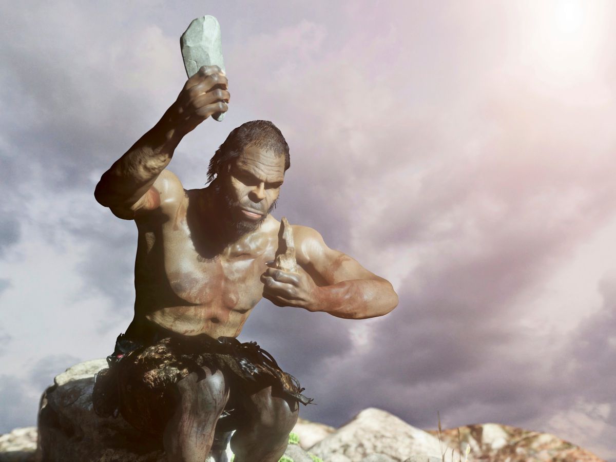 Drei gute Minuten: Gerettete Hamster und Kleber für Knochen ...