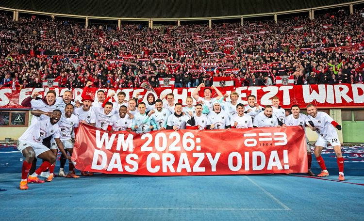 "Elch Emil" zum österreichischen Wort des Jahres 2025 gekürt - Kultur ...
