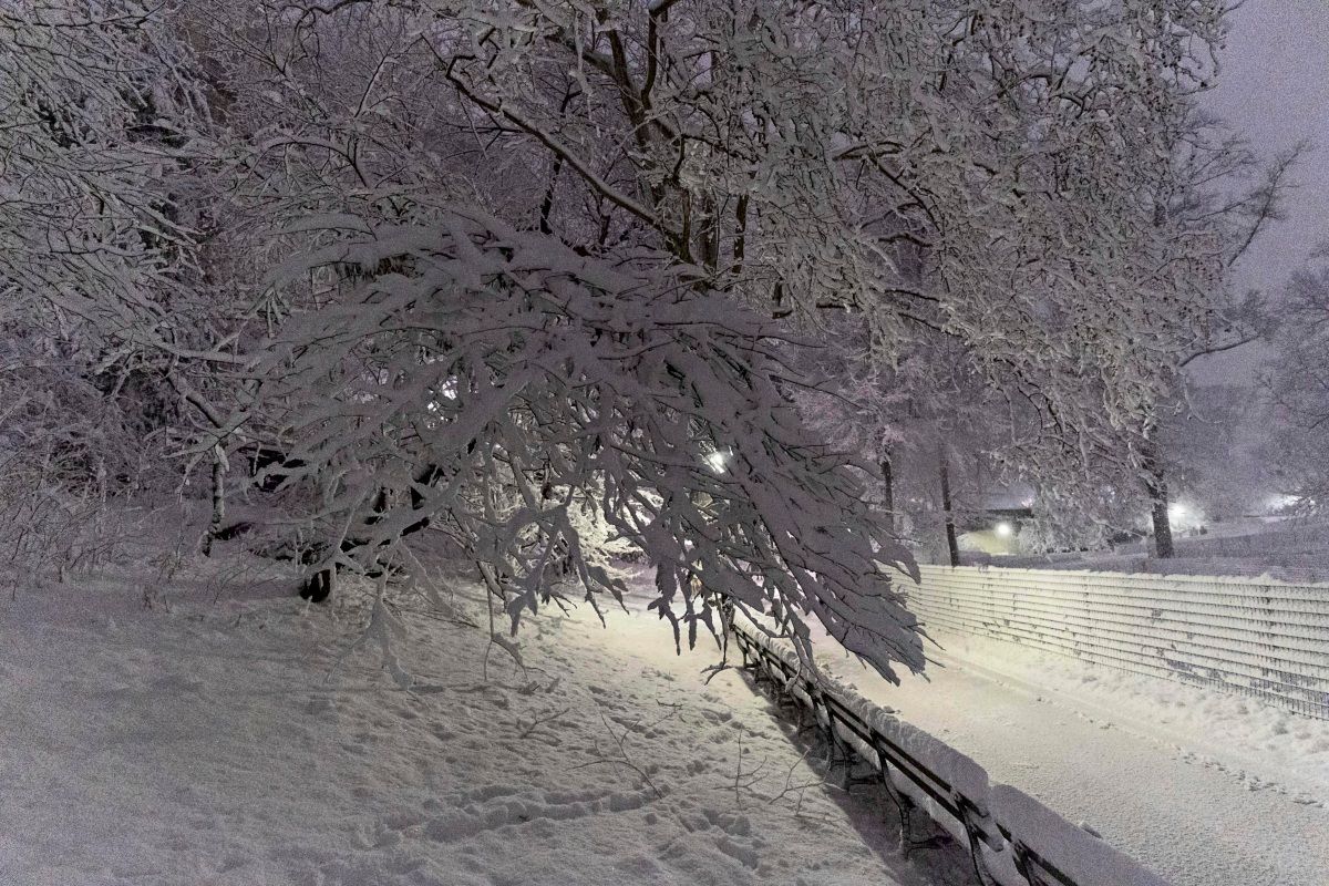 Blizzard-Alarm im Nordosten der USA, Fahrverbot in New York ...