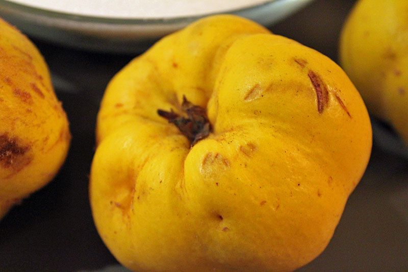 Jetzt essen: Quitte! - Essen & Trinken - derStandard.at › Lifestyle