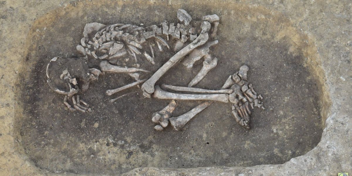 Älteste Pesttote Österreichs gefunden - Archäologie - derStandard.de ...
