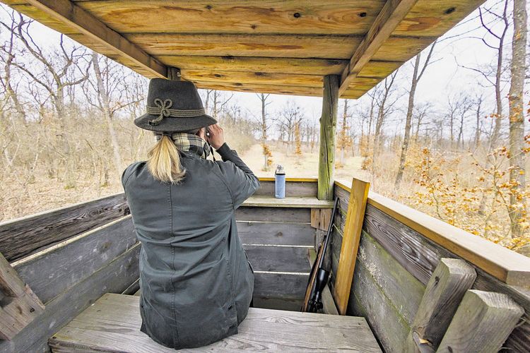 Into the Wild: Wie sich Jagd in den urbanen Zeitgeist pirscht - Wien ...