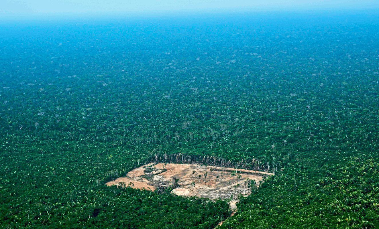 Abholzung des brasilianischen Regenwaldes dramatisch beschleunigt ... Abholzung des brasilianischen Regenwaldes dramatisch beschleunigt ...