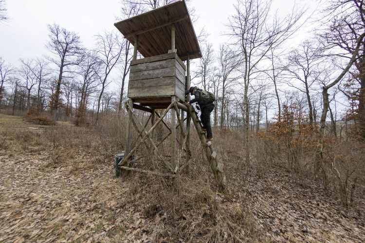 Into the Wild: Wie sich Jagd in den urbanen Zeitgeist pirscht ...
