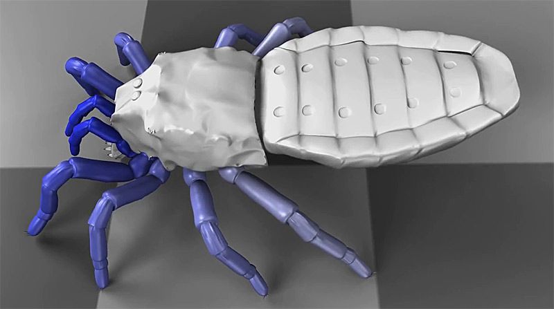 Forscher bringen ausgestorbenes Spinnentier zum Krabbeln - Natur ...