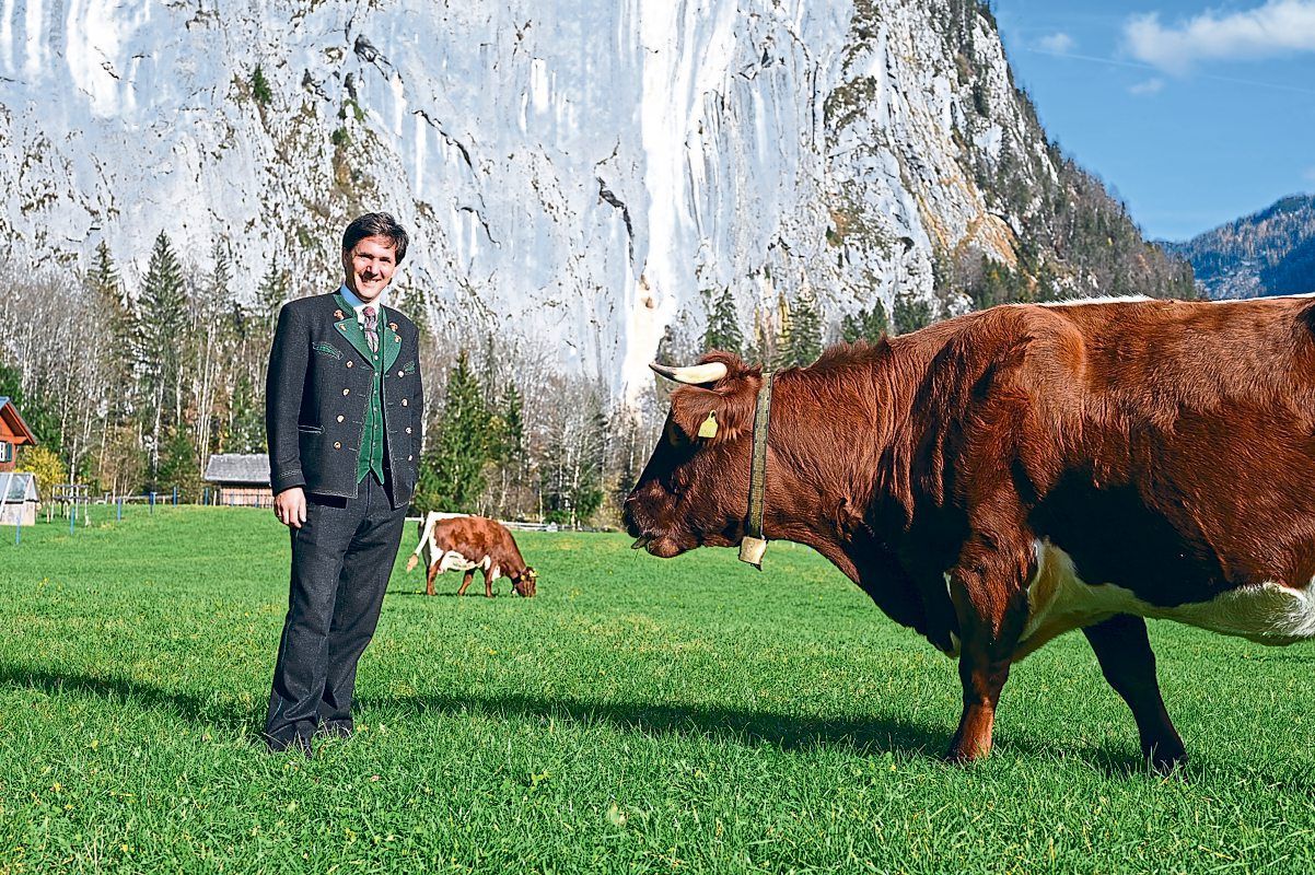 Das Vermächtnis von Dietrich Mateschitz: Was vom Bullen bleibt ...