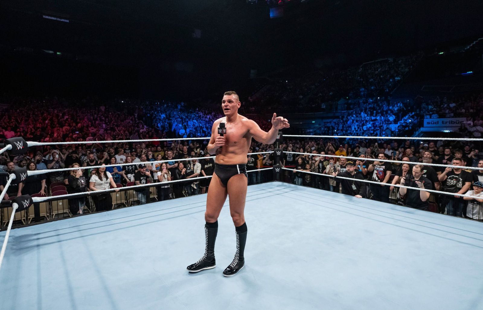 Rütteln am Watschenbaum: Besuch beim WWE-Wrestling in der Stadthalle ...