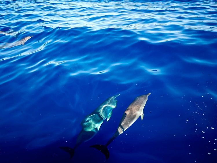 2021 in einem Bild: Die schönsten Fotos der STANDARD-Community - Fotos ...