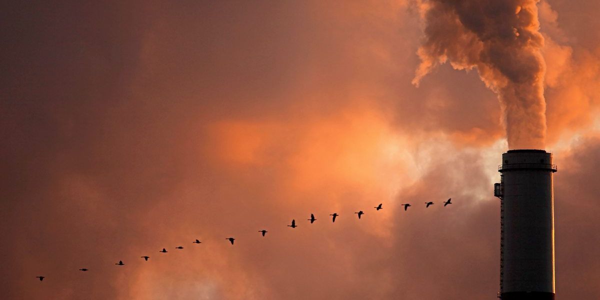 Global Carbon Budget 2022 Zur ck Zu Hohen Emissionen Wie Vor Der global-carbon-budget-2022-zur-ck-zu-hohen-emissionen-wie-vor-der