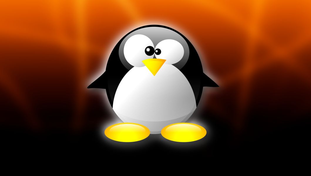 USA: Hacker wegen Einbruch auf Linux-Kernel-Server festgenommen ...