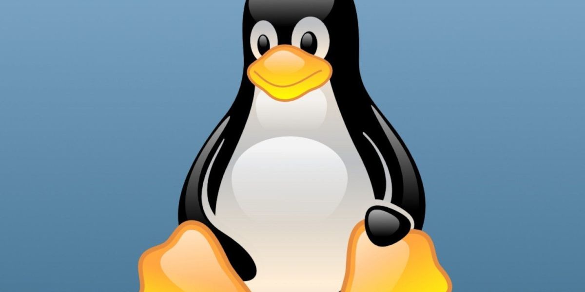 Erste Testversion für Linux 5.0 veröffentlicht - Linux-Unix ...