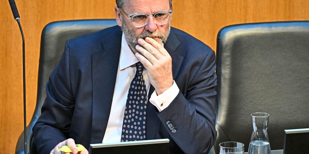 Weniger Auswahl: Staatssekretär Schellhorn will Reform bei Dienstwagen ...