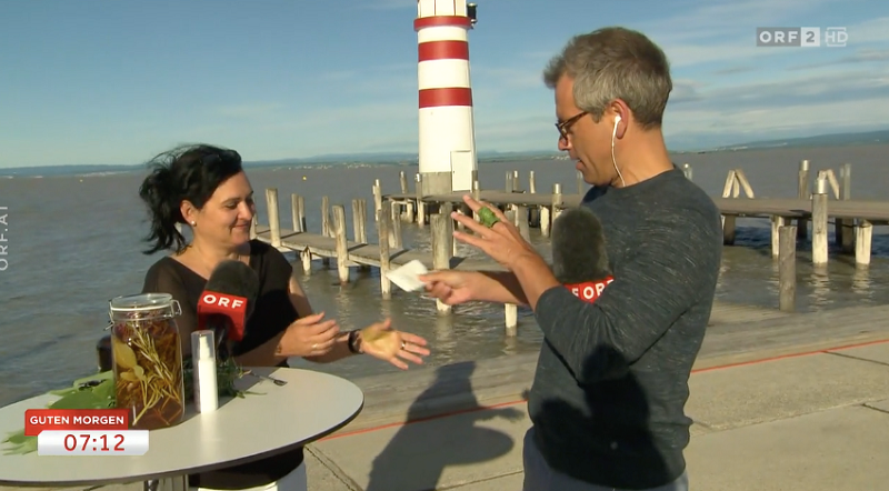 Die Gelsen kommen! "Guten Morgen Österreich" im ORF hilft ...