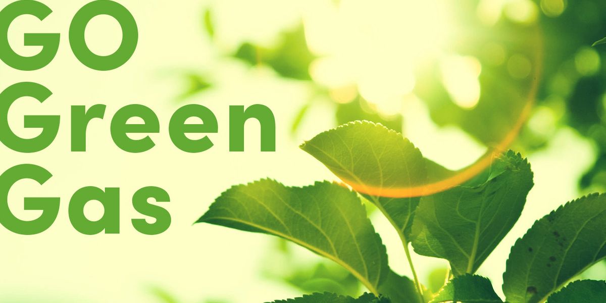 CEGH GreenGas Platform expandiert nach Deutschland und bietet Handel ...