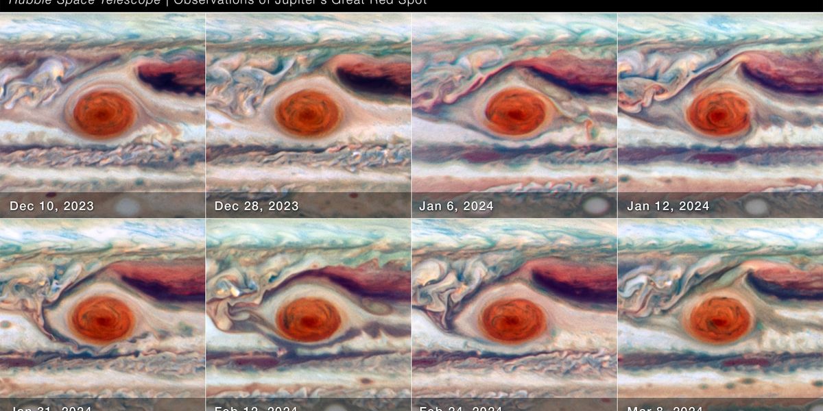 Jupiters größter Wirbelsturm zeigt ein unerklärliches Pulsieren ...