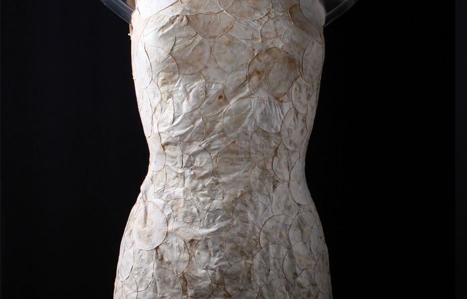 Zukunftsweisende Innovation: Kleidung aus Pilzmyzel - Zukunft ...