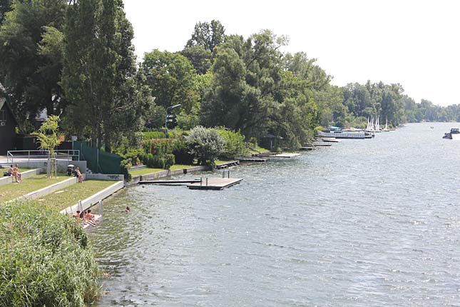 Alte Donau in Wien hat Badeseequalität - Wien - derStandard.at › Panorama