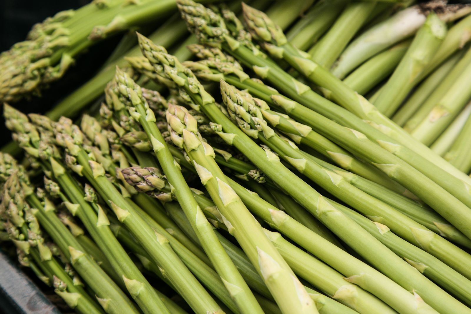 Die echte Spargelzeit beginnt erst jetzt - Essen & Trinken ...