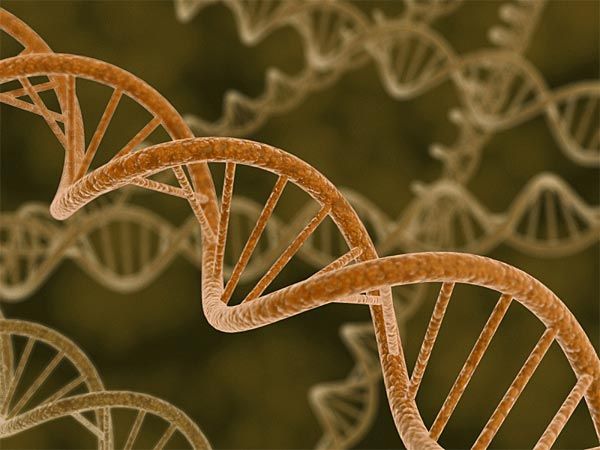 Langzeit-Speicher: DNA macht Daten bis zu eine Million Jahre haltbar - Technik - derStandard.at ...